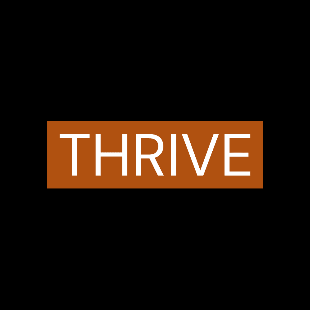 Thrive Digital Agency